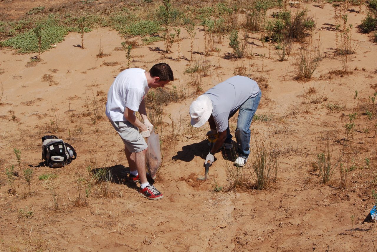 case study: Lead contamination in shooting range soils | crcCARE